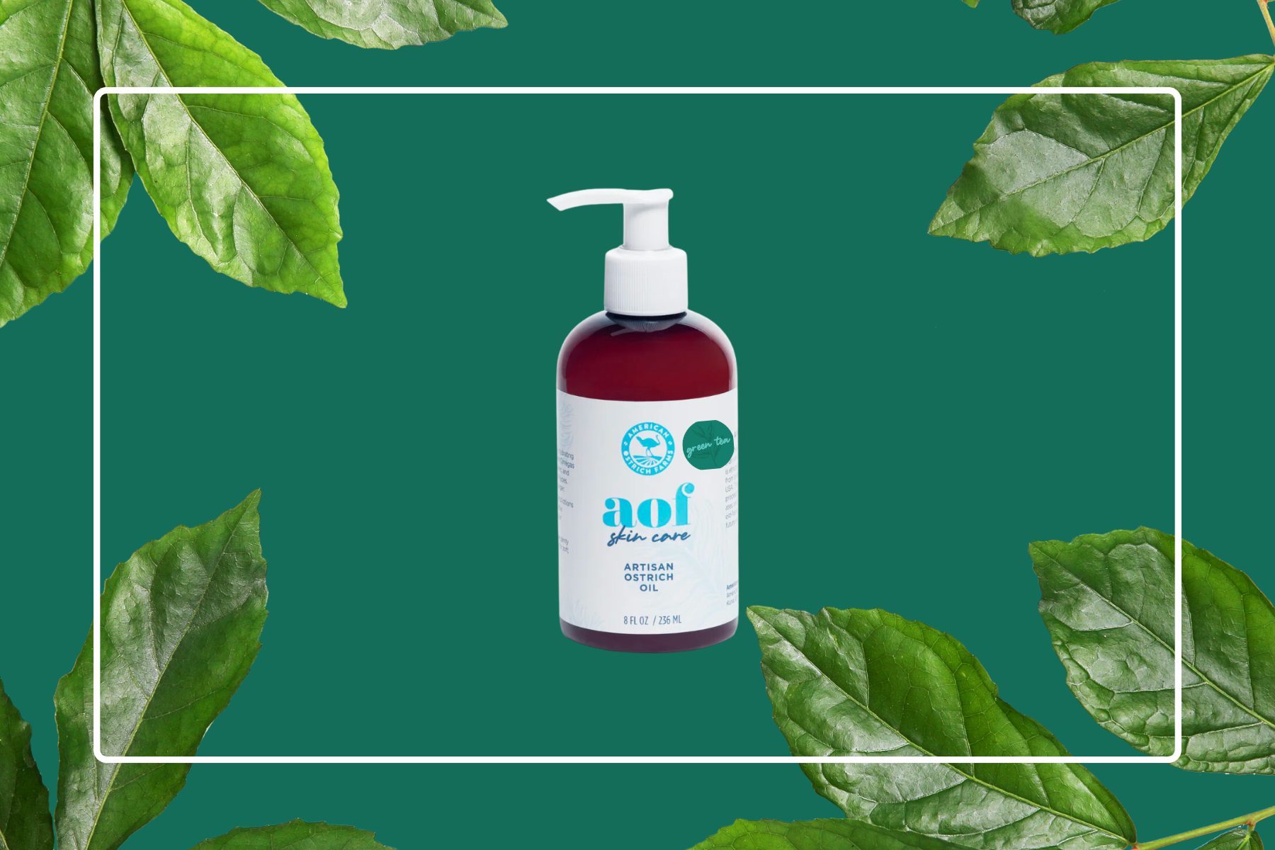 GREEN TEA OSTRICH OIL & EVERYTHING YOU NEED TO KNOW – American Ostrich ...