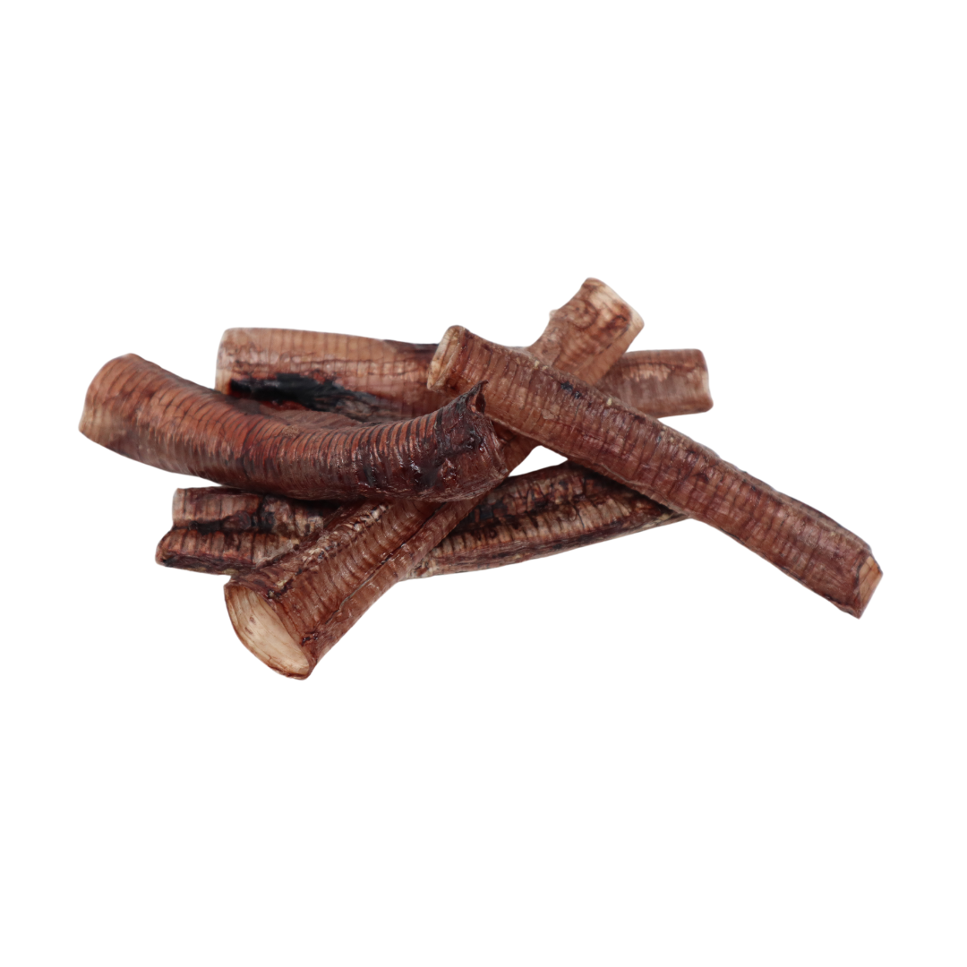 Buy Ostrich Trachea Chews for Dogs | American Ostrich Farms