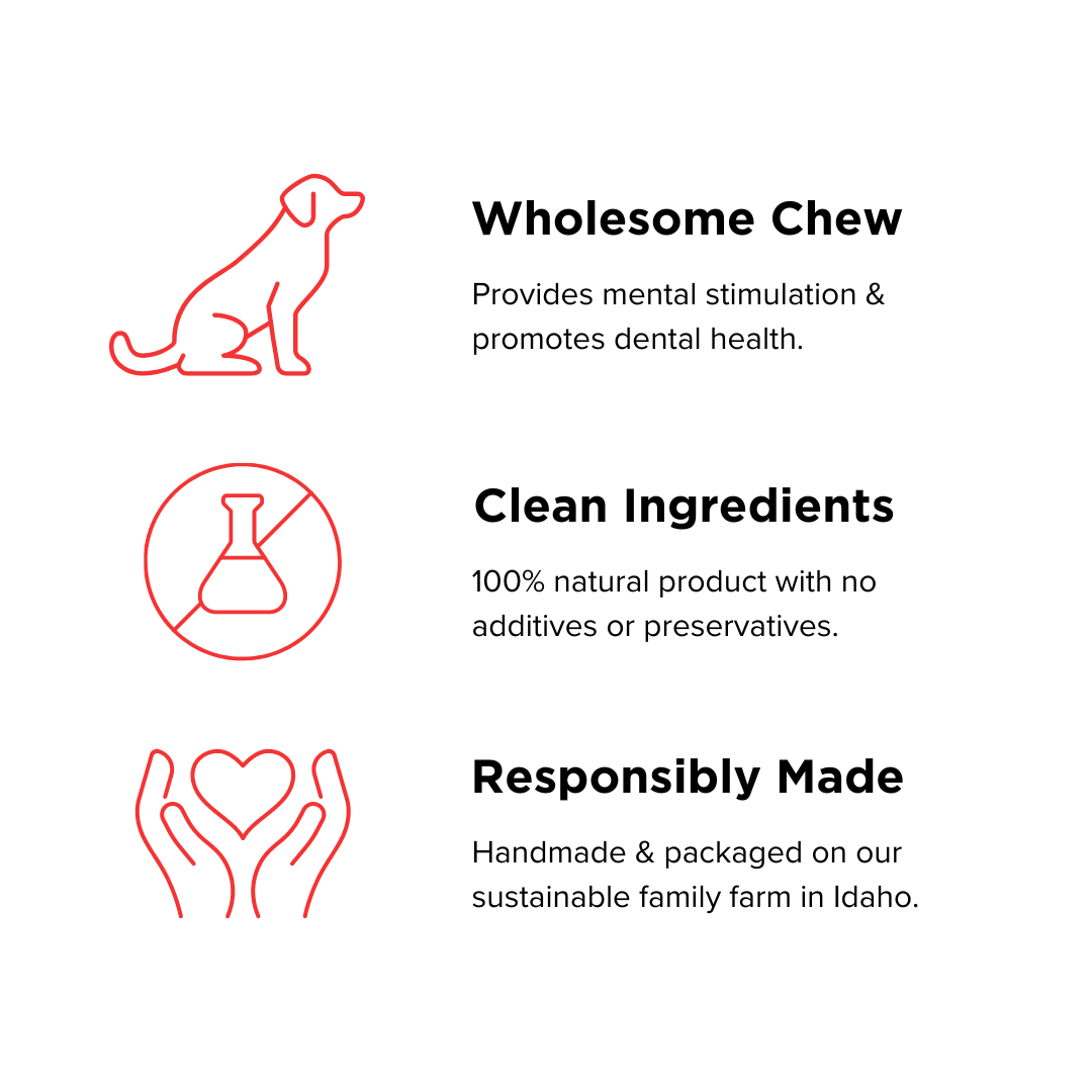 Buy Ostrich Trachea Chews for Dogs | American Ostrich Farms