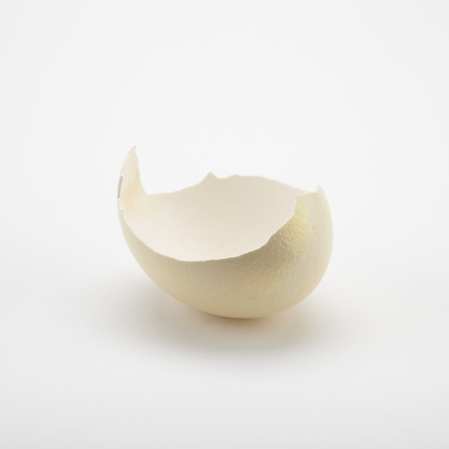 Broken Egg Shell